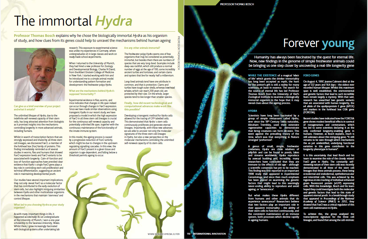 Archives: Project Groups | Thomas Bosch